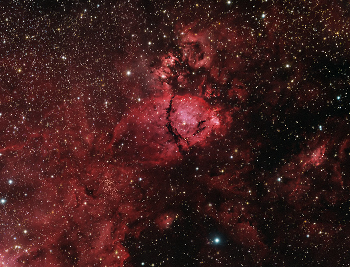 IC 1795 - The Fish Head Nebula